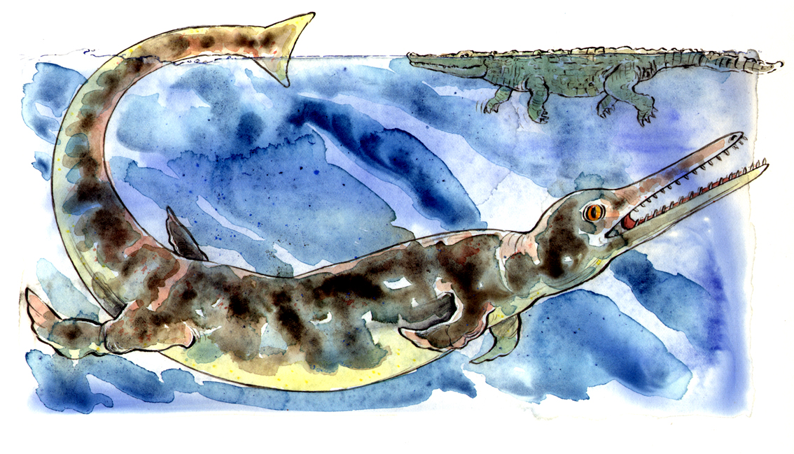 John O'Leary – author, illustrator & paper engineer